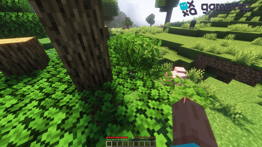 Gamever.io next-gen game hosting