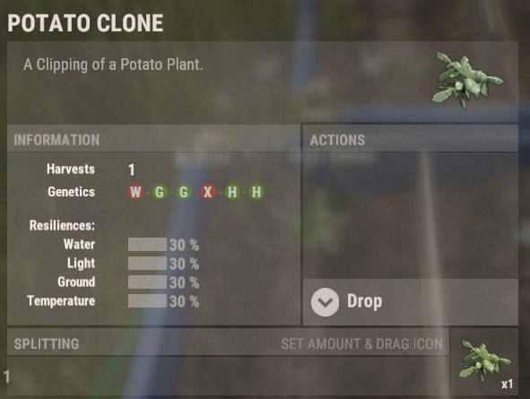 Gamever.io next-gen game hosting