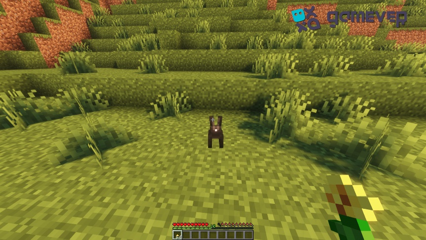 Gamever.io next-gen game hosting